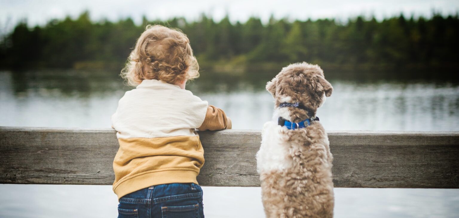 Befriending Service – Community Lives Matter